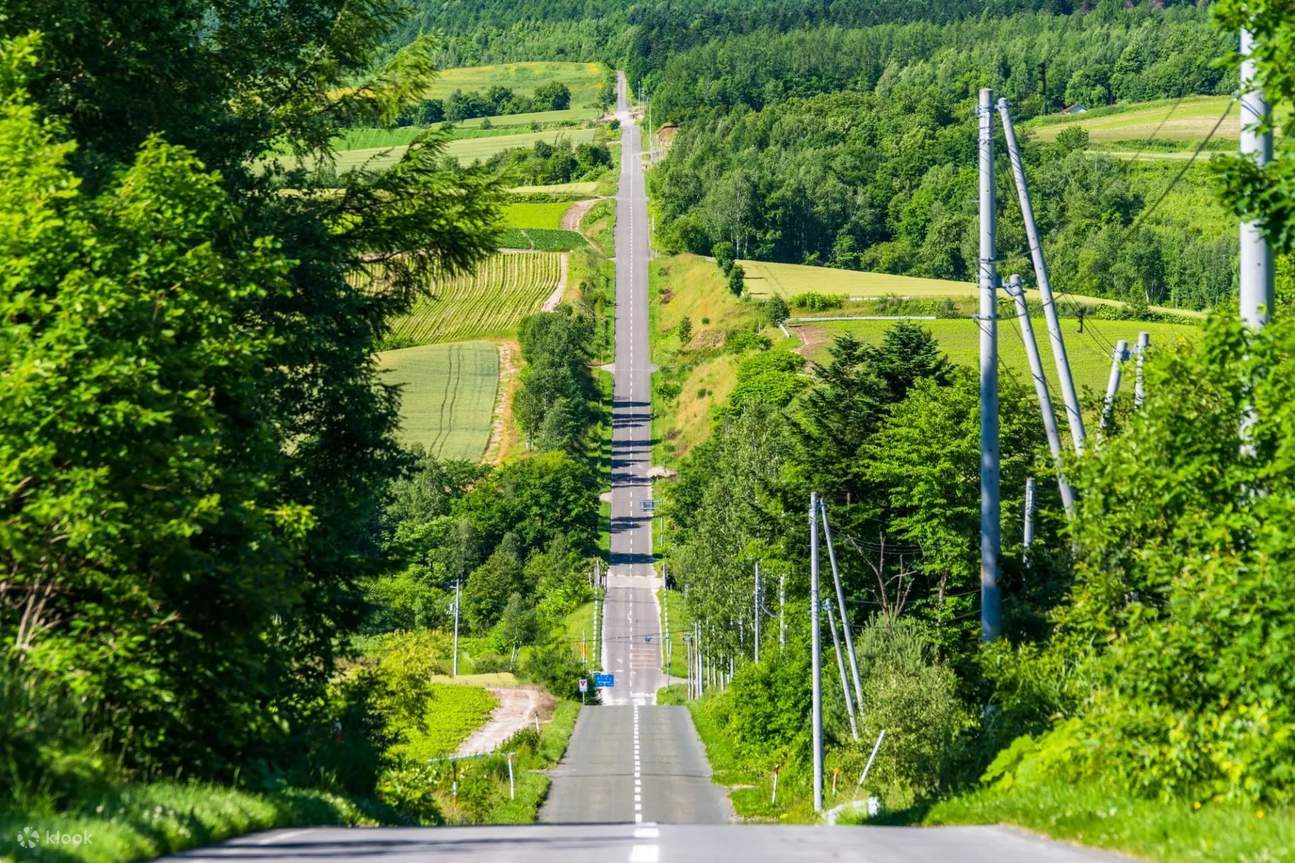 [Hokkaido Breathtaking Scenery Day Trip] Furano Biei, Otaru Kamui Cape ...